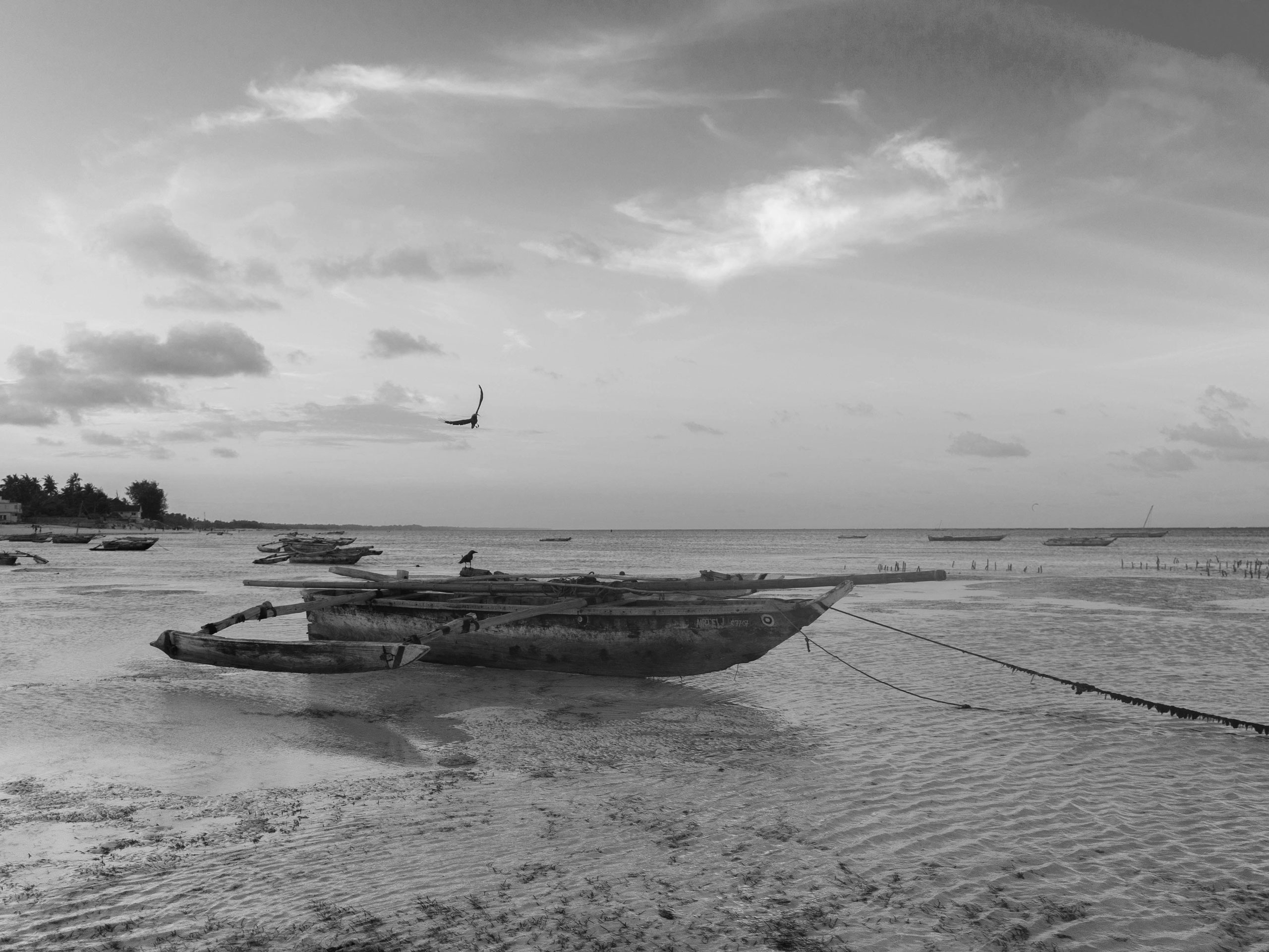 Boot am See - Posterliebe